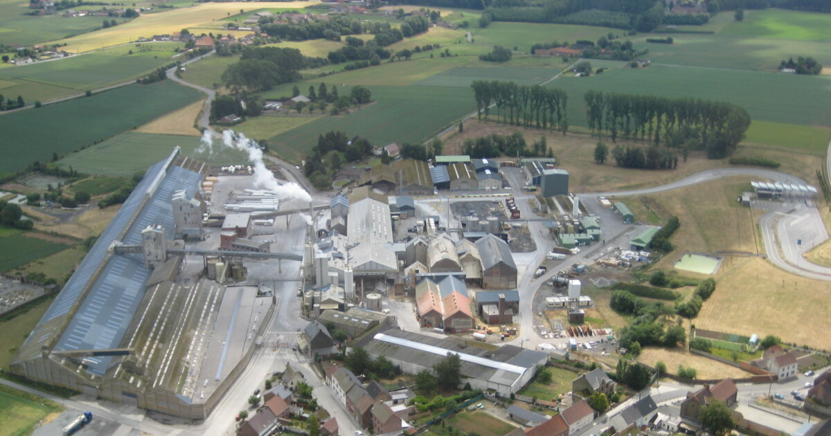 New Rosier CEO Raymaekers targets increased cooperation with Borealis ...