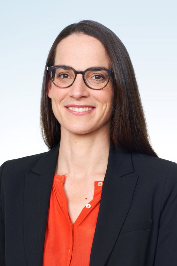 Über Borealis - Deutschland - Borealis